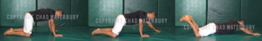 Get a Stronger, Harder Core: Hand Walkout - Chad Waterbury